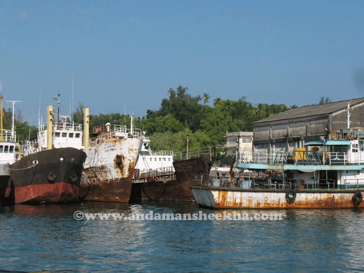Sick Ships of Shipping Services Is there lack of professionalism in ...