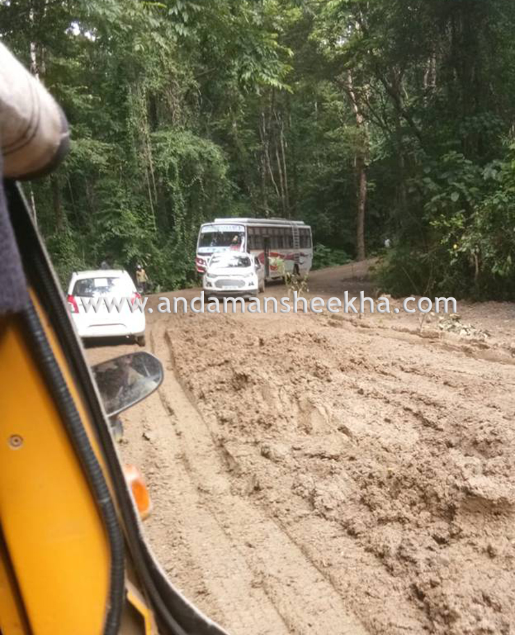 Andaman Trunk Road poses threat to Islanders; Public demands Immediate ...