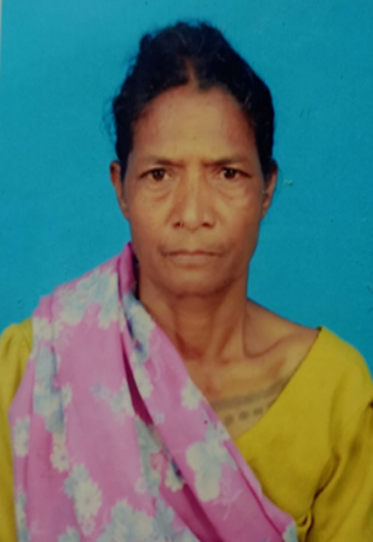 Elderly Woman Reported Missing In South Andaman Public Assistance