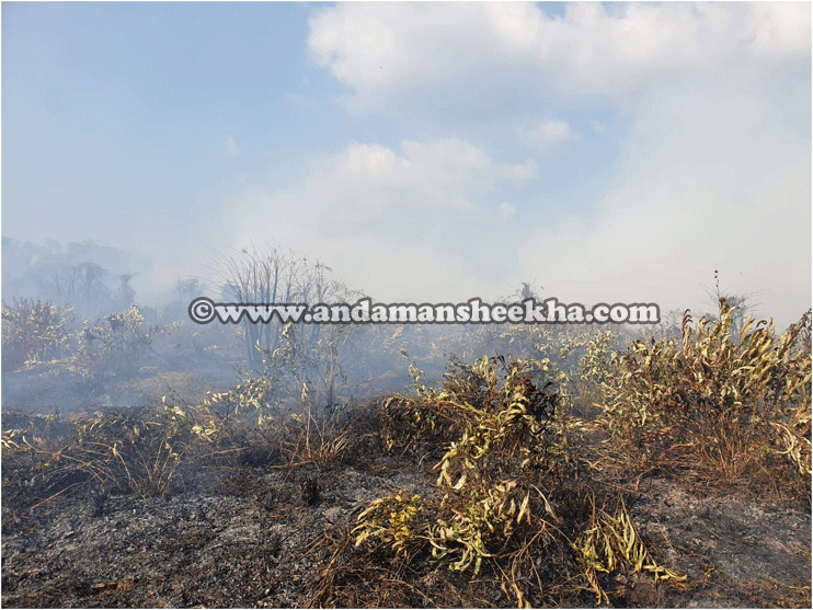 sheekha10042019-fire - ANDAMAN SHEEKHA
